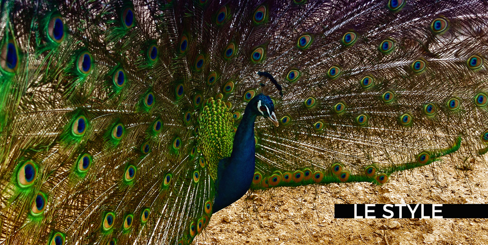 Le style | Le Fictiologue