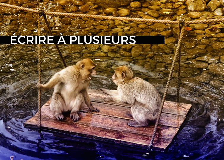 Écrire à plusieurs | Le Fictiologue