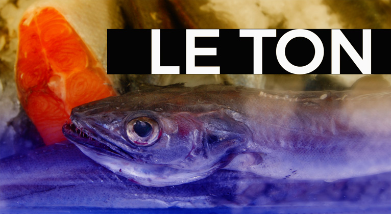 Le ton | Le Fictiologue